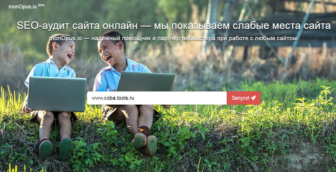 Monopus — программа аудита сайта. Обзор на MonOpus, отзывы, цены | Coba ...